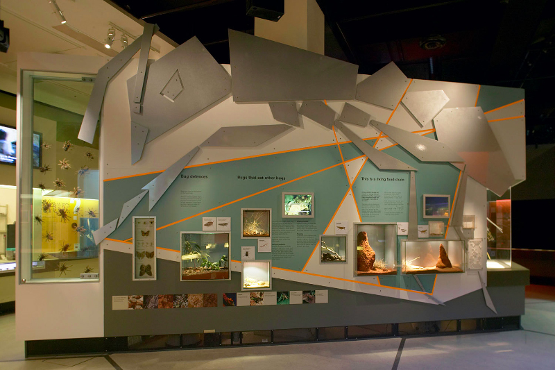 Professional consulting services for live invertebrate displays